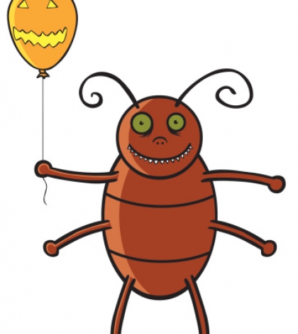 Bolhák, és a megoldás | delina.hu